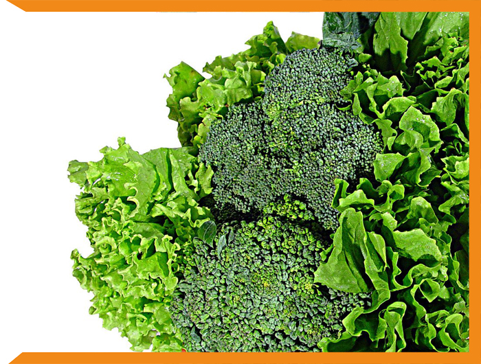 Verduras | PASSARINHO